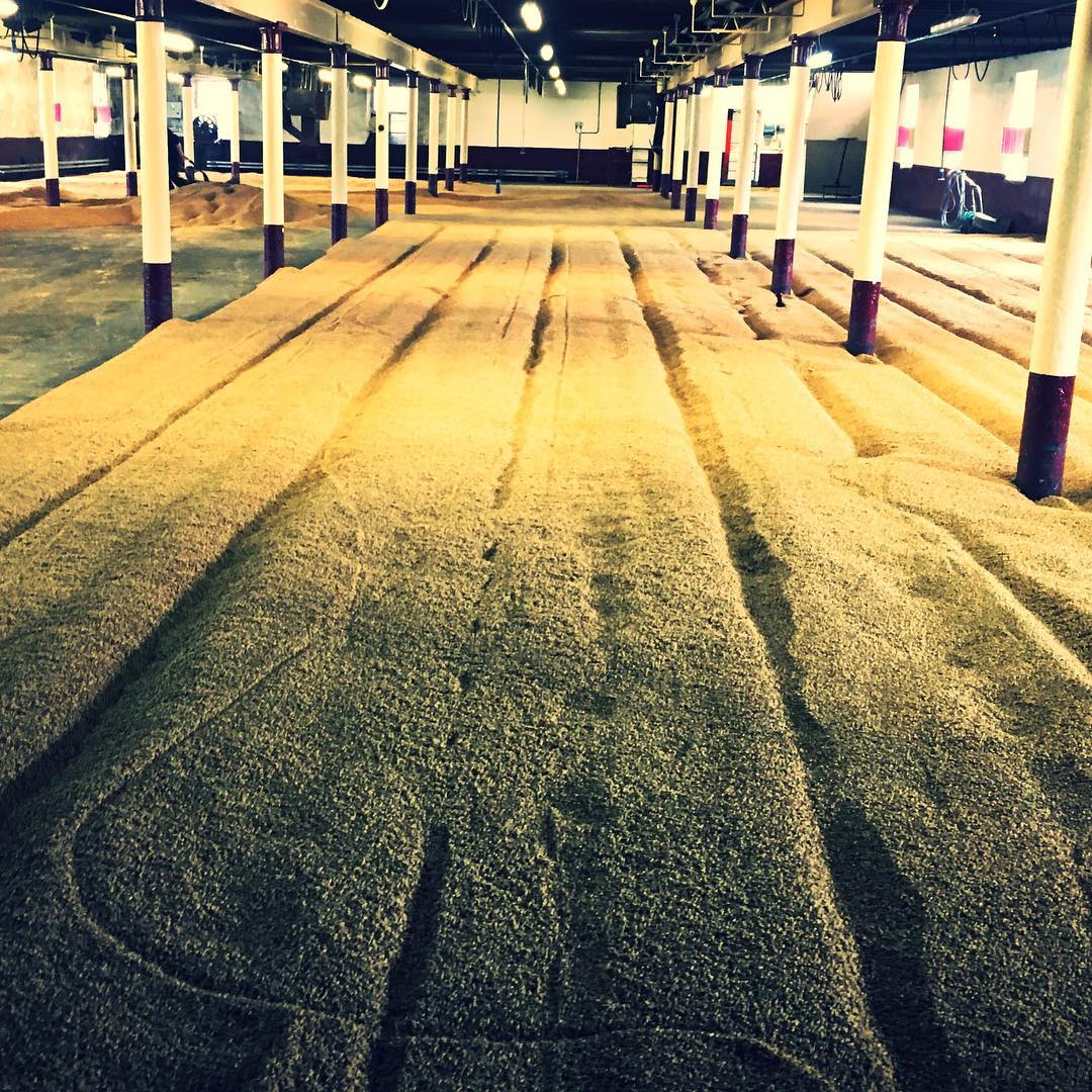 Introduction to Grain Mashing for the Home Distiller – Learn to Moonshine